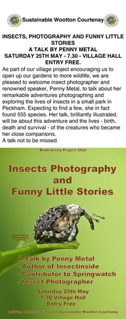 Insect Talk by Penny Metal – Wootton Courtenay