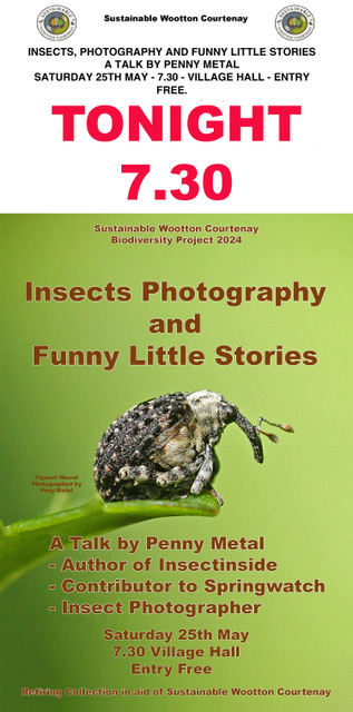 Insect Talk in Hall Tonight! – Wootton Courtenay