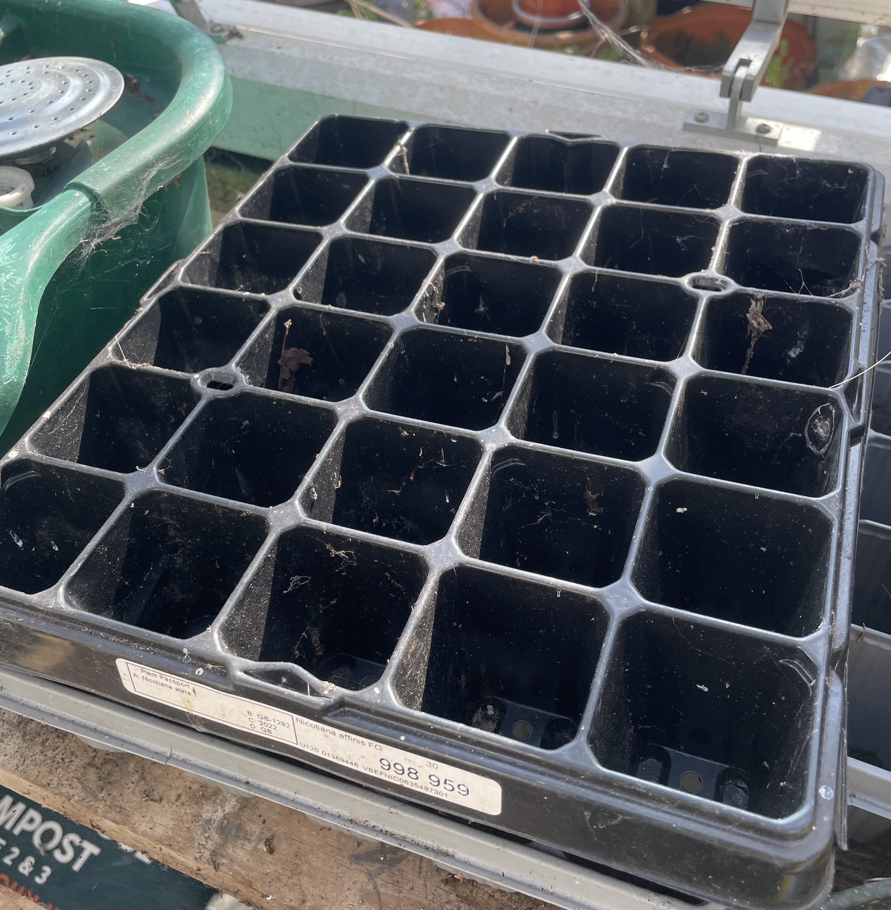 Plant Module Trays Needed – Wootton Courtenay