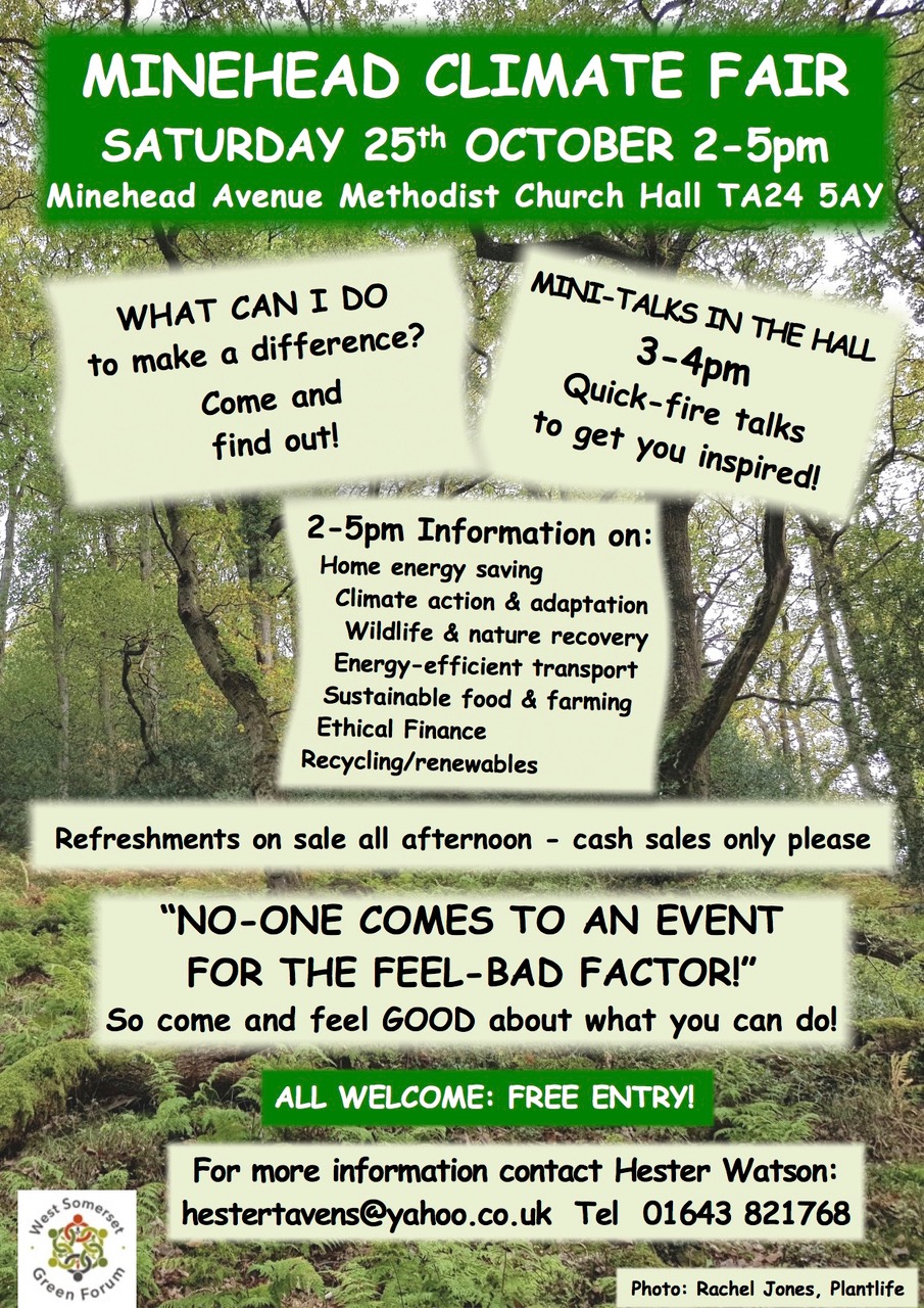 Minehead Climate Fair – Wootton Courtenay